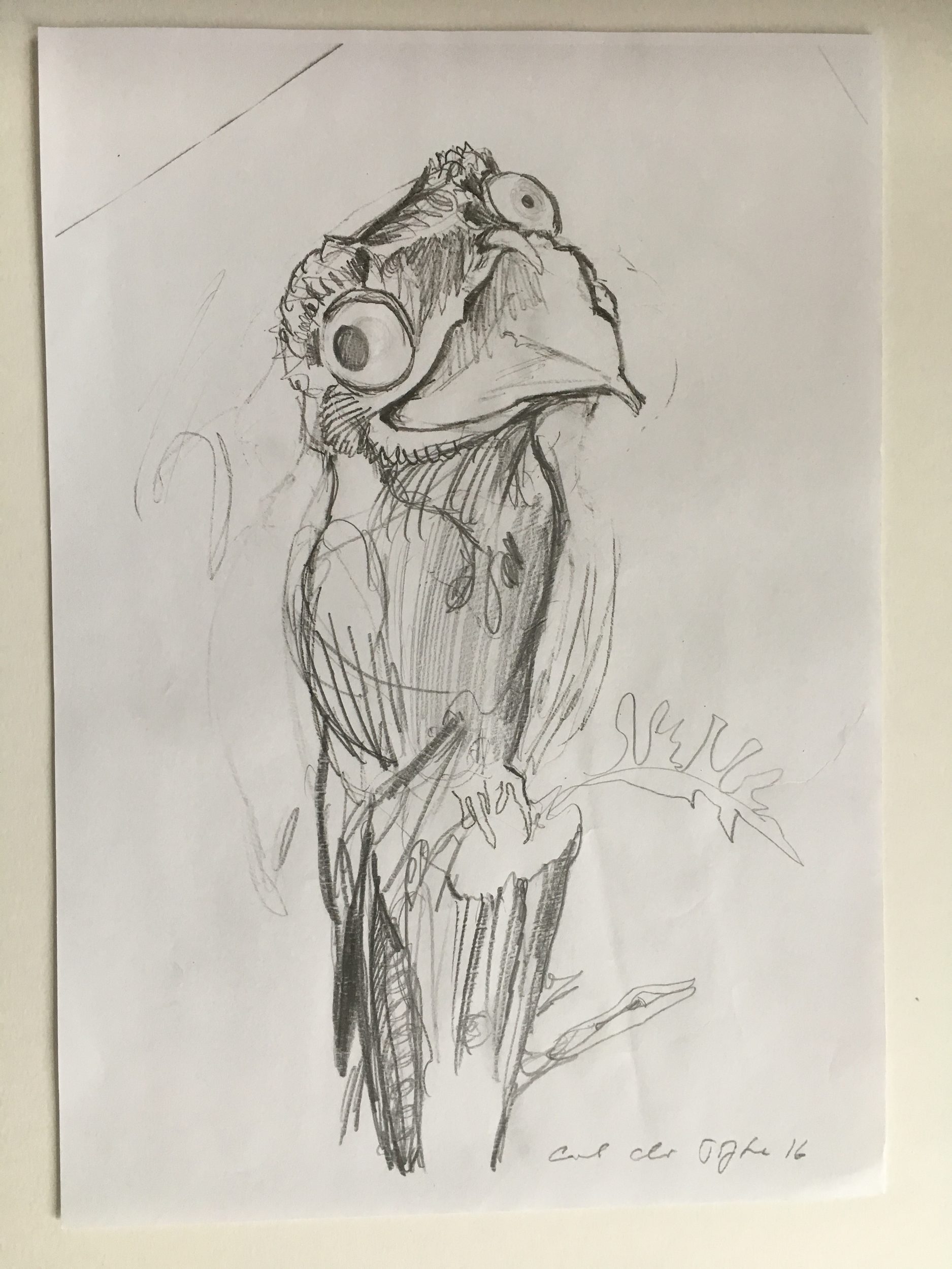 Potoo sketch 2 pencil-xerox 2016