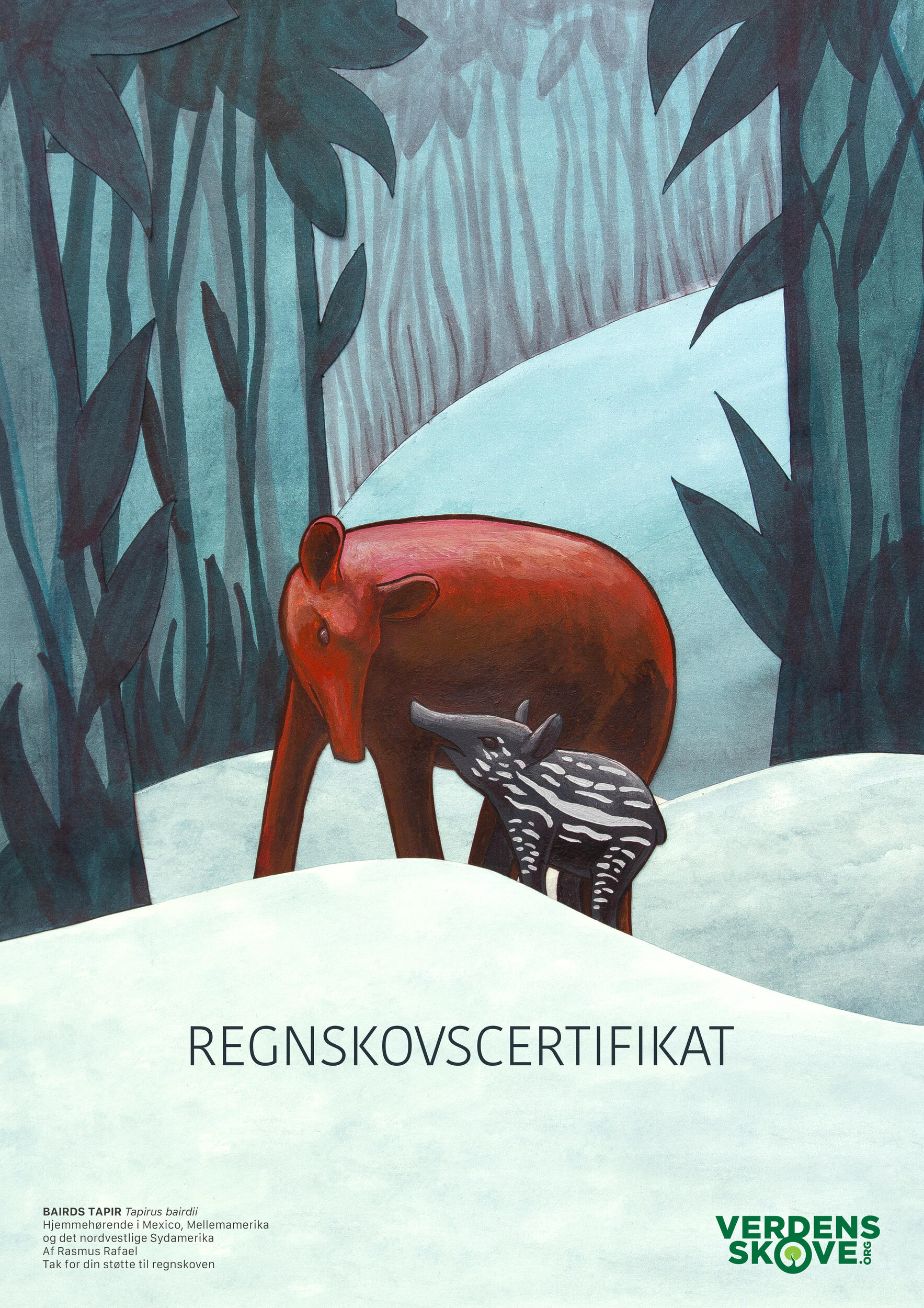 Tapir af Rasmus Rafael - Regnskovscertifikat
