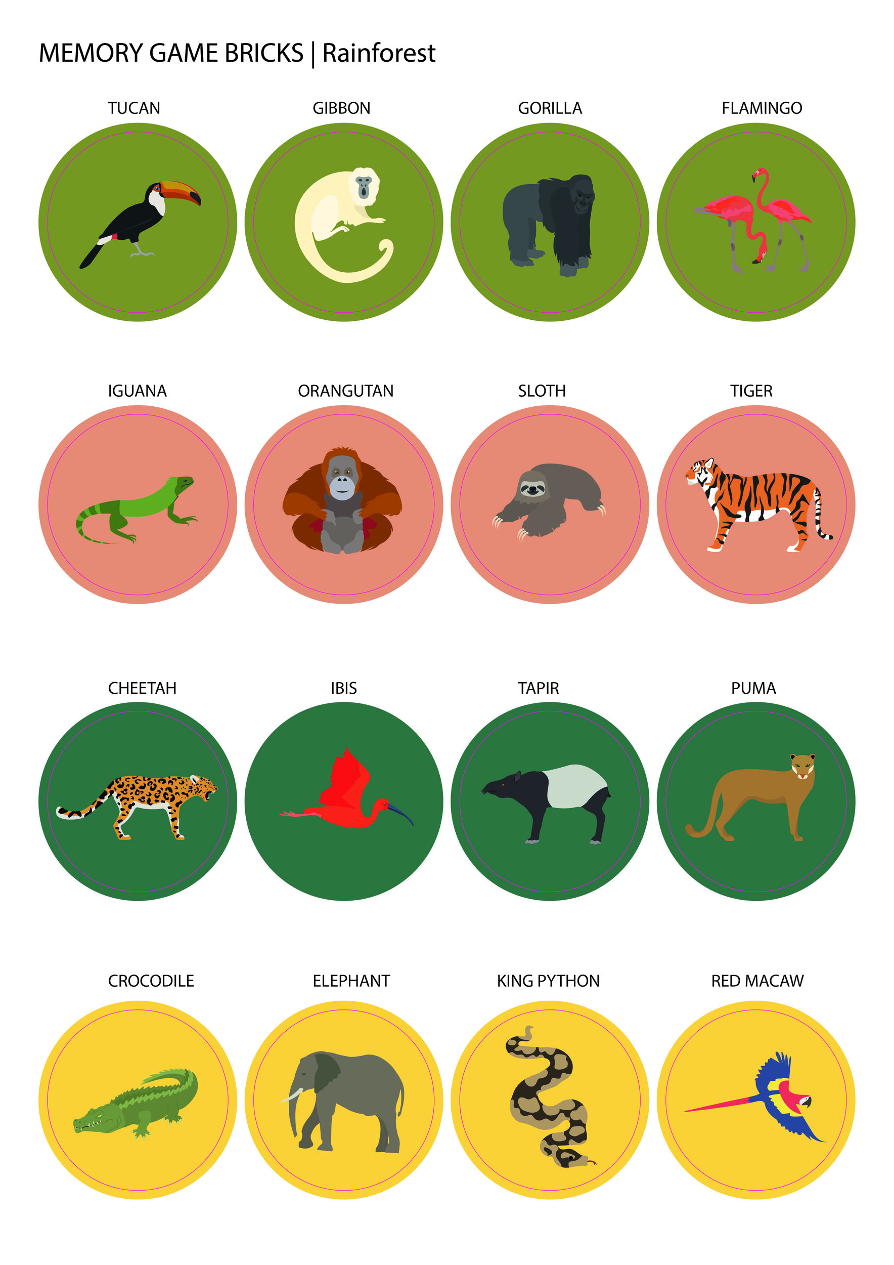 Memory Game - Rainforest